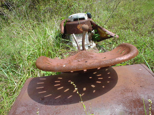 Weird, cool stuff you found in the woods. | Page 5 | Tacoma World